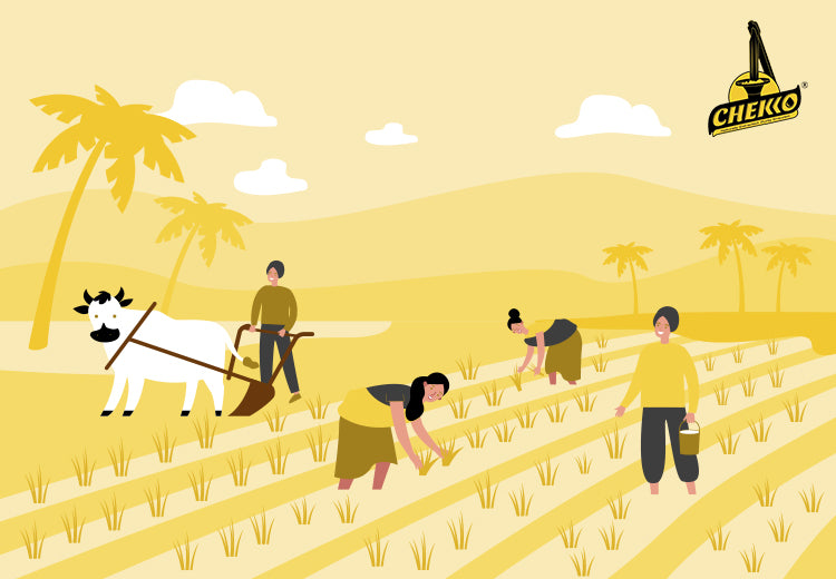 Chekko Oils – A Story of Our Values – Chekko Oils USA